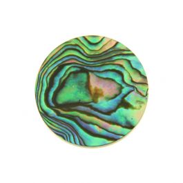 "flat abalone" shell Insignia 33mm